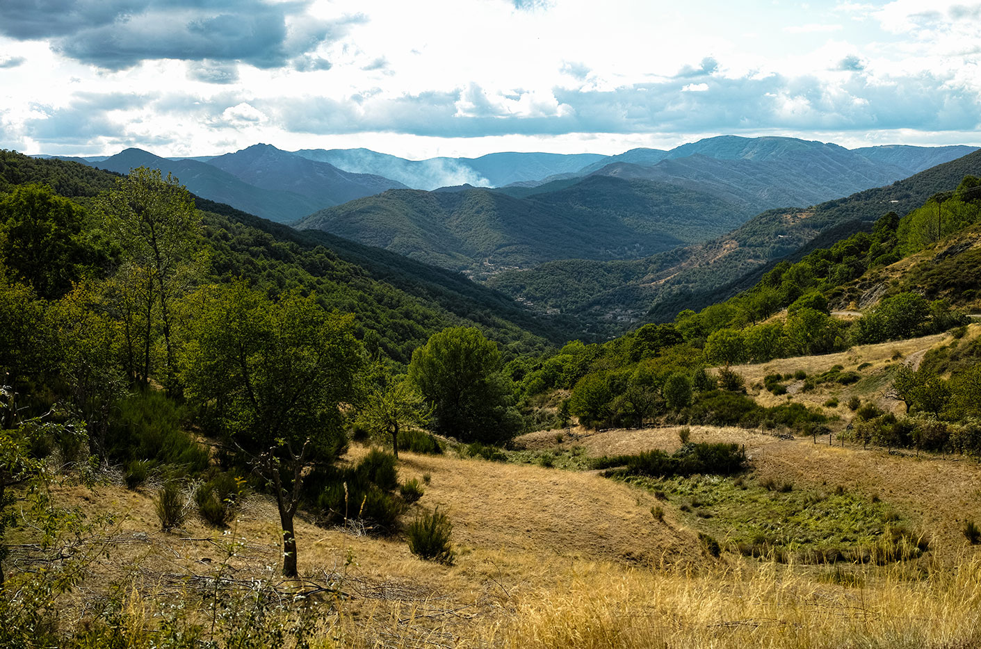 Jeunesse, engagement et sport - Ardèche 1er VERSION | Site de l ...